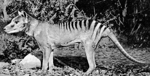 Page 1 of comments at Historical picture comp 6