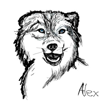 Thanks for the kind words, Ill try to do that - #62848041 added by ...