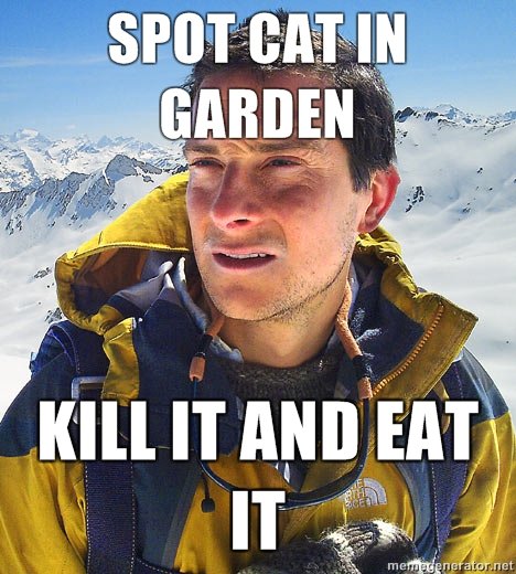 Bear Grylls Meme