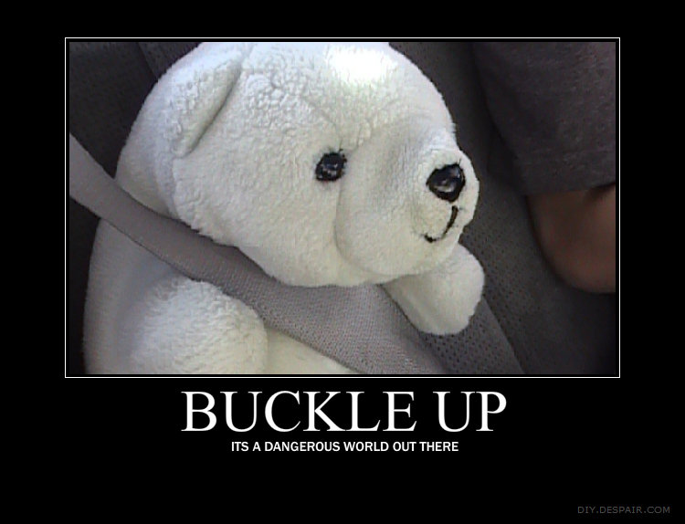 buckle up