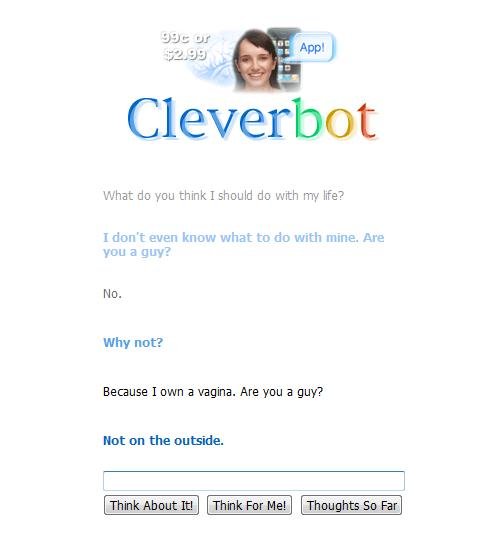 Cleverbot: Male or Female?