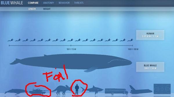Comparison Fail