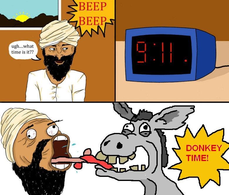 Donkey Time