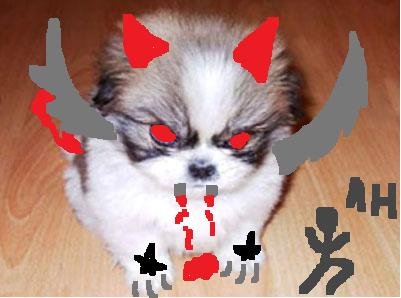 Evil Dog