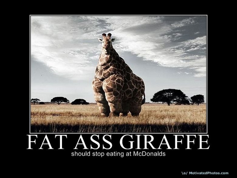 Fat Giraffe