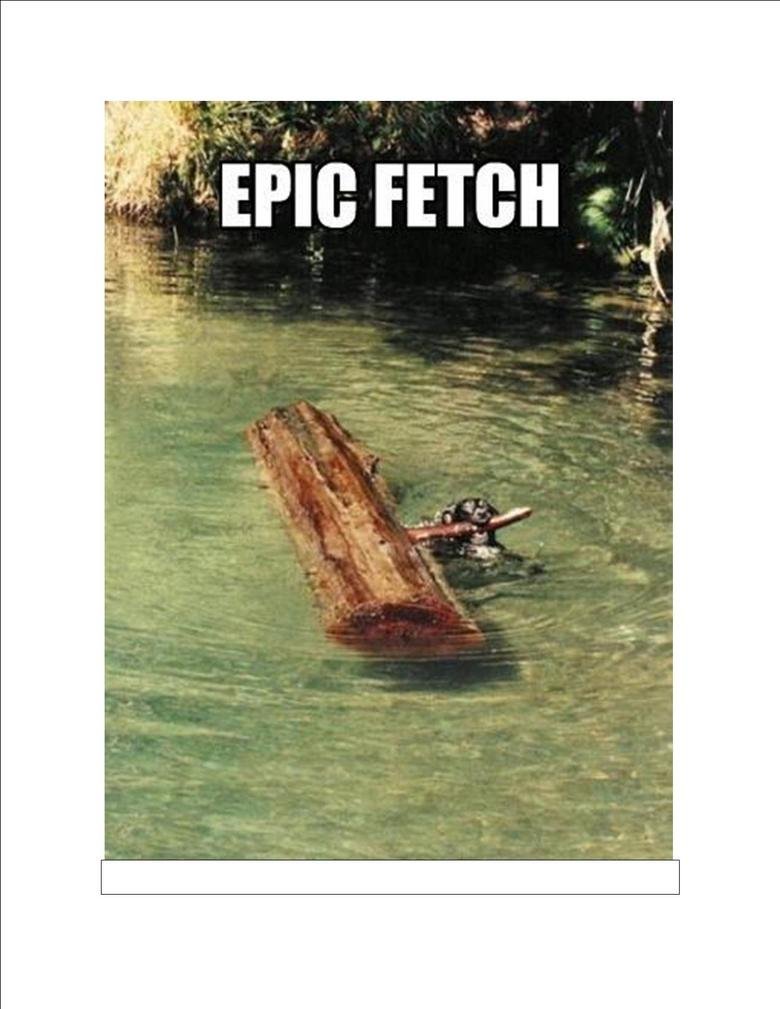 Fetch win