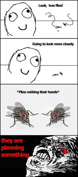 Flies