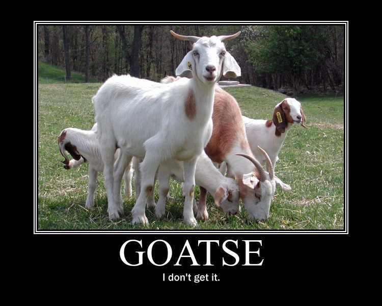 GOATSE
