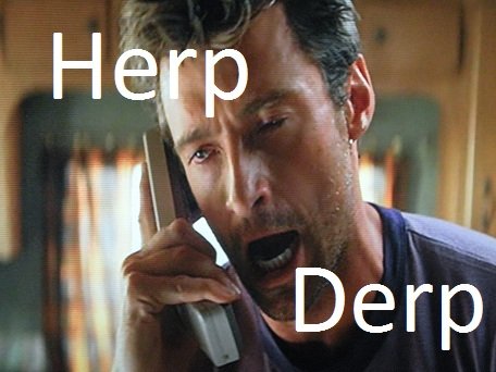 Herp Derp