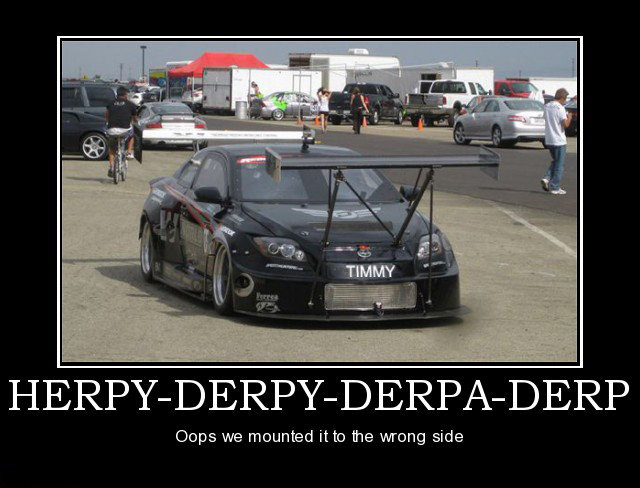 Herpy Derpy Derpa Derp