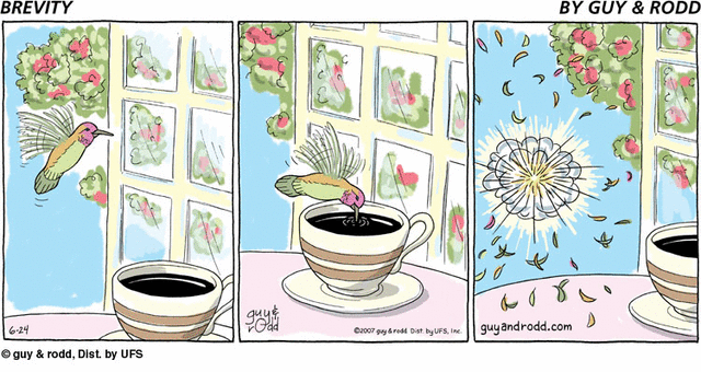 Hummingbirds and Caffine