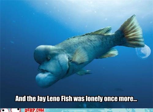 Jay Leno Fish