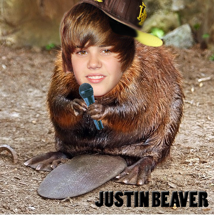 Justin Beaver