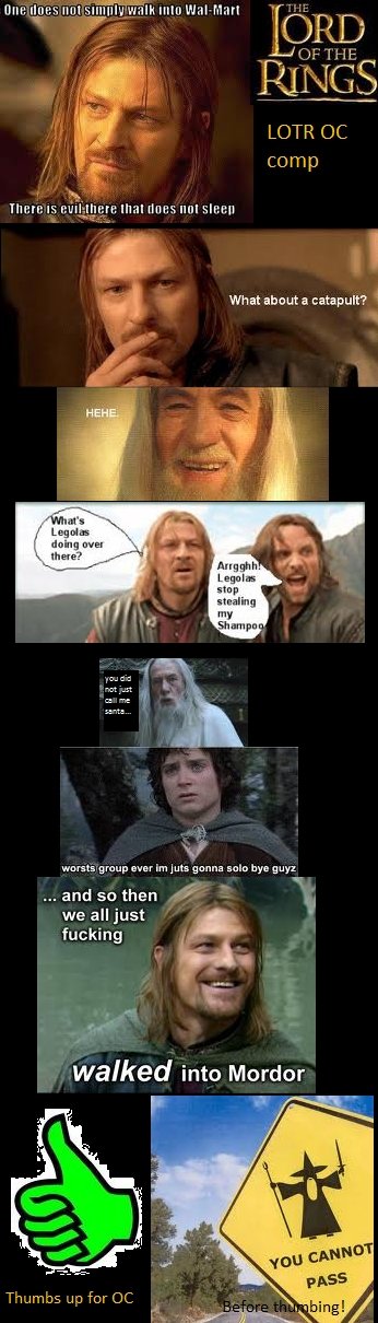 LOTR OC