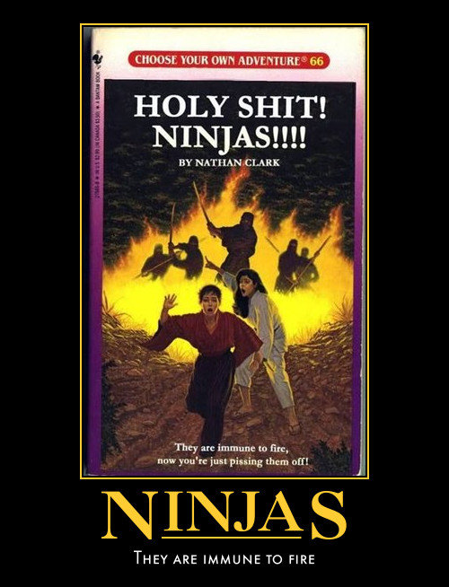 Ninjas