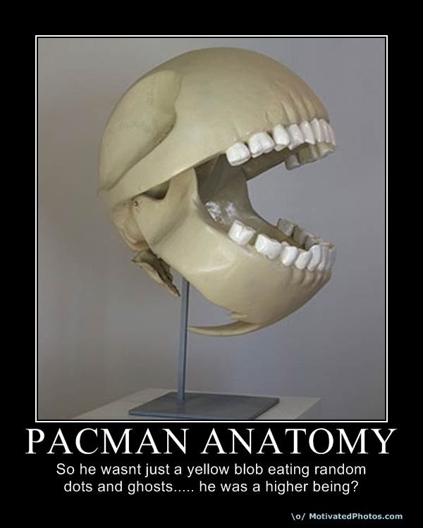 Pacman Anatomy