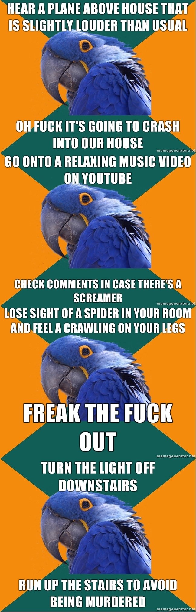 Paranoid Parrot Compilation