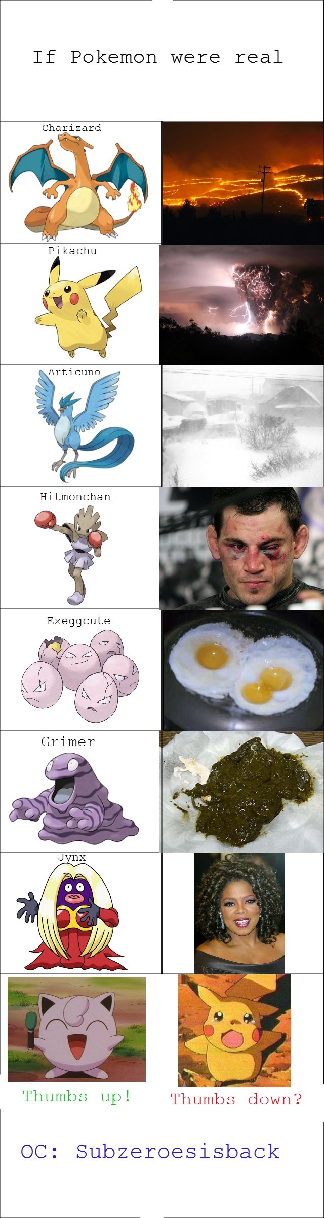POKEMON IN REAL LIFE