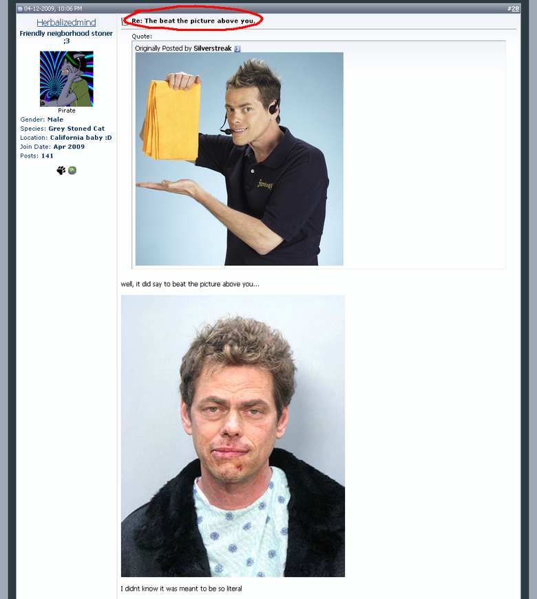 Shamwow Guy