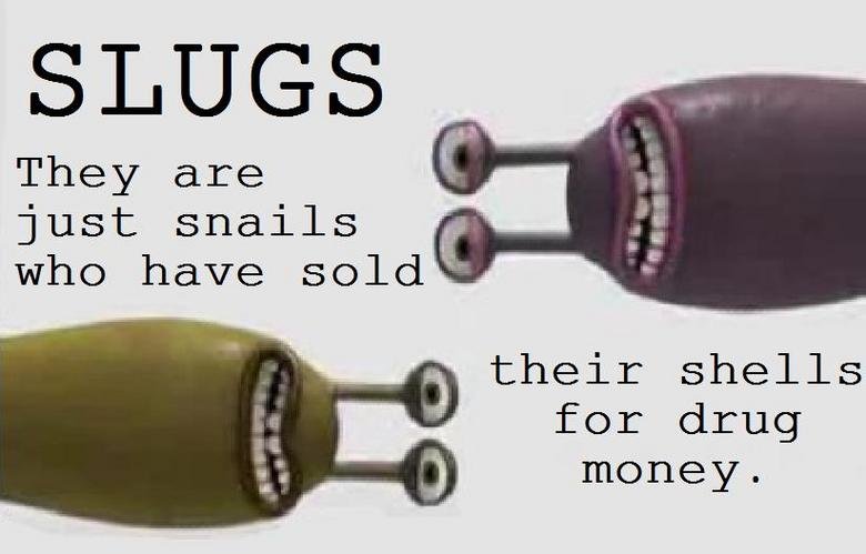 Slugs