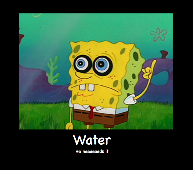 Water