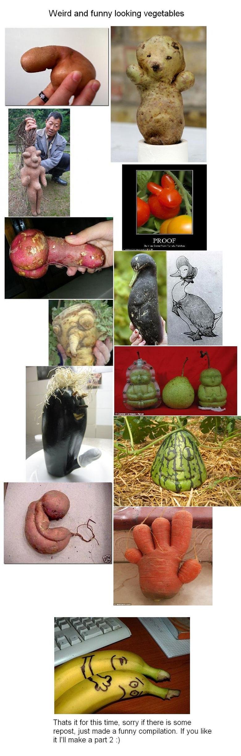 Weird and funny looking vegetables
