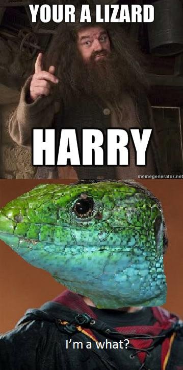 Your a Lizard Harry